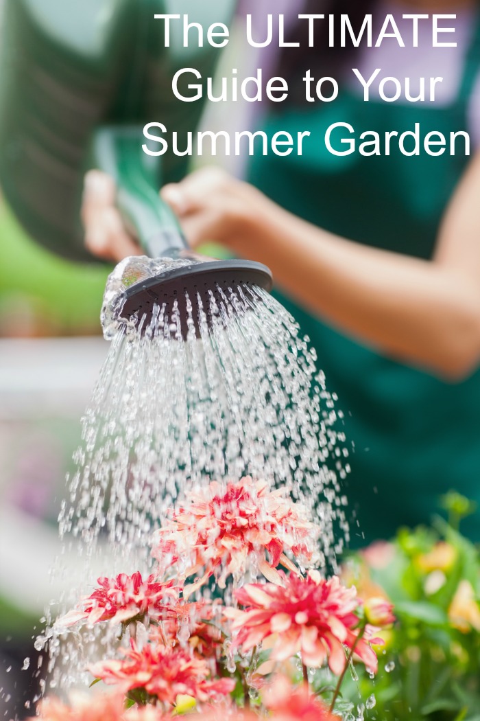 The Ultimate Guide to Your Summer Garden - Creative Cynchronicity
