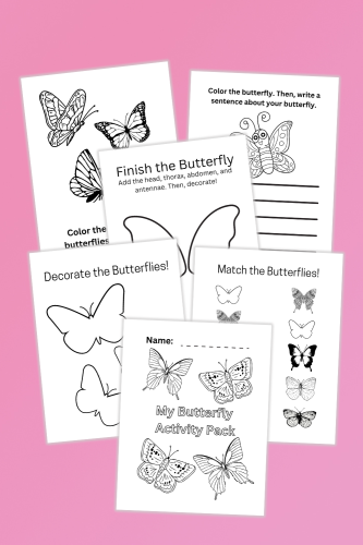 Clothespin Butterfly Craft - Creative Cynchronicity