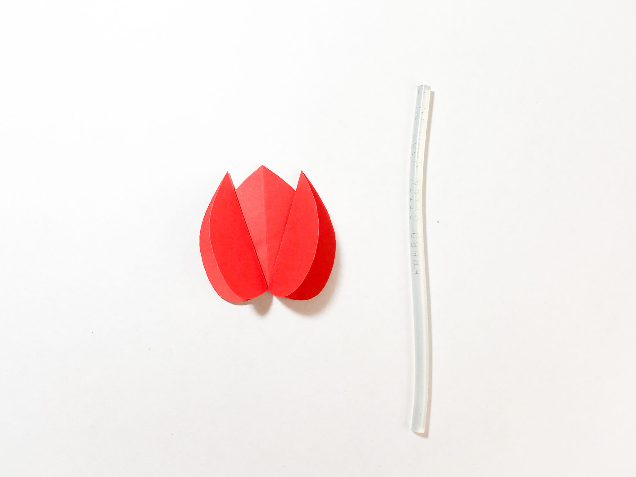 DIY Paper Tulips - Creative Cynchronicity