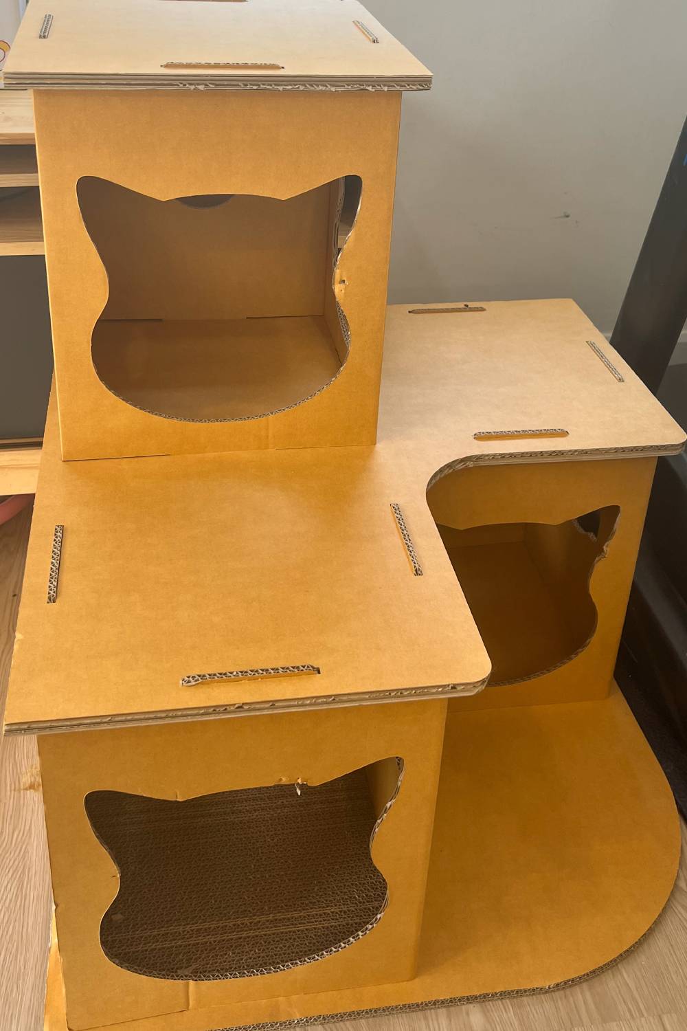 DIY Projects To Enhance Your Pet’s Quality of Life